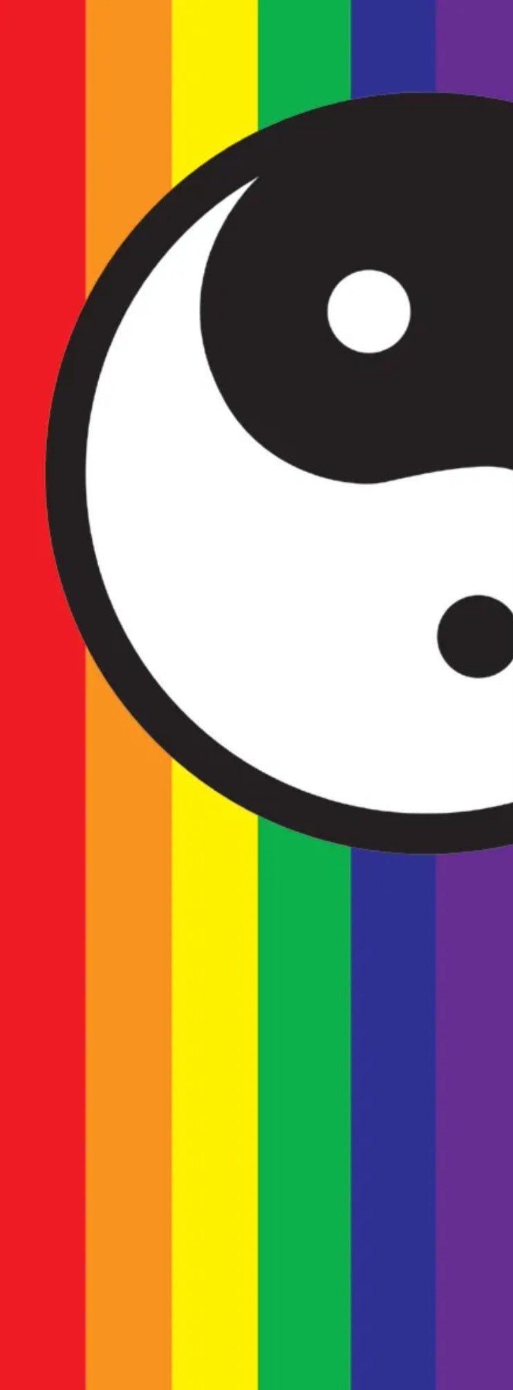 Rainbow balance banner flag 3ft x 8ft – Flagseller