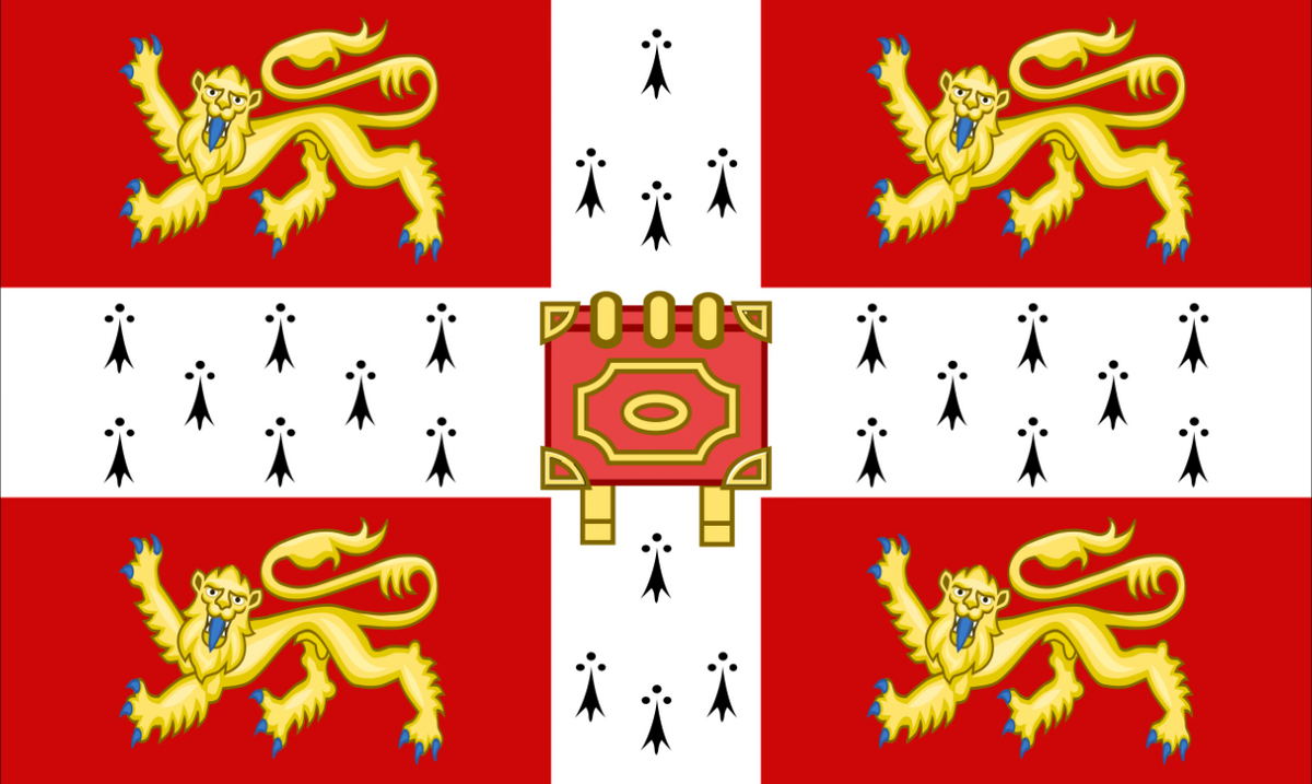 University of Cambridge flag Cambridge university 5ft x 3ft with eyele ...