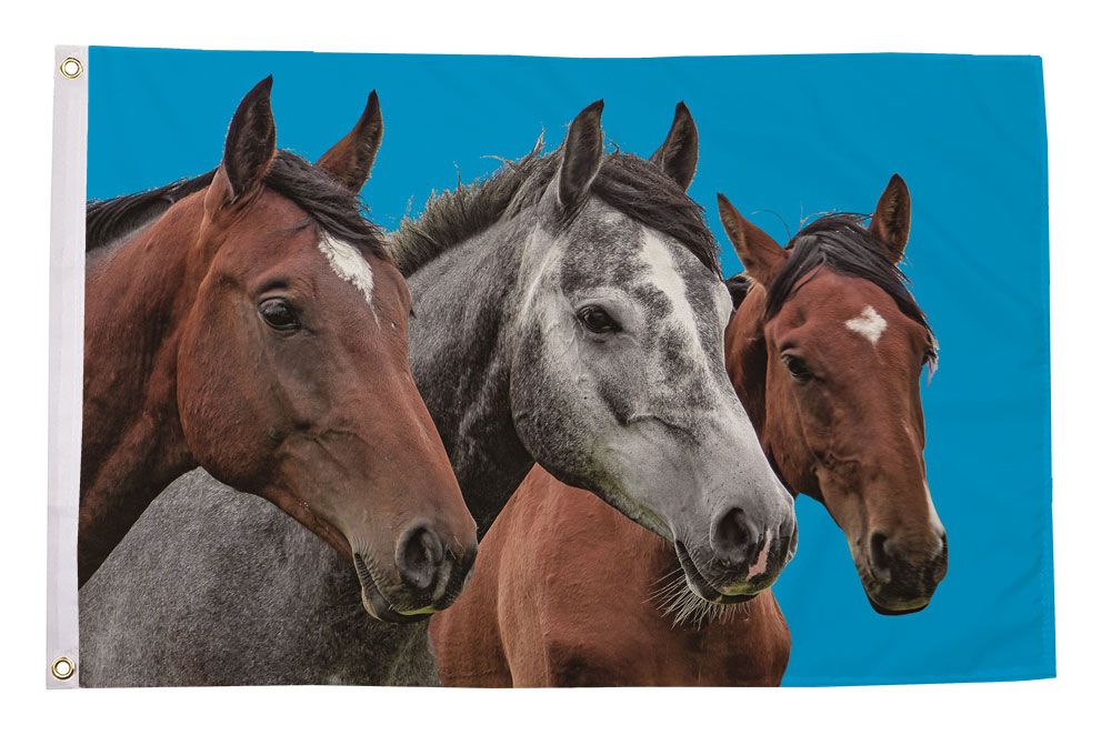 Horses flag 5ft x 3ft – Flagseller