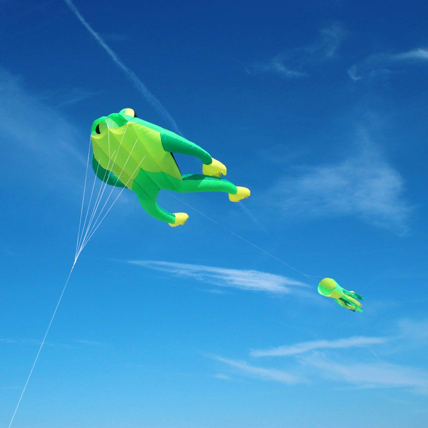 Wolkensturmer Fritz the frog 3d foil kite – Flagseller