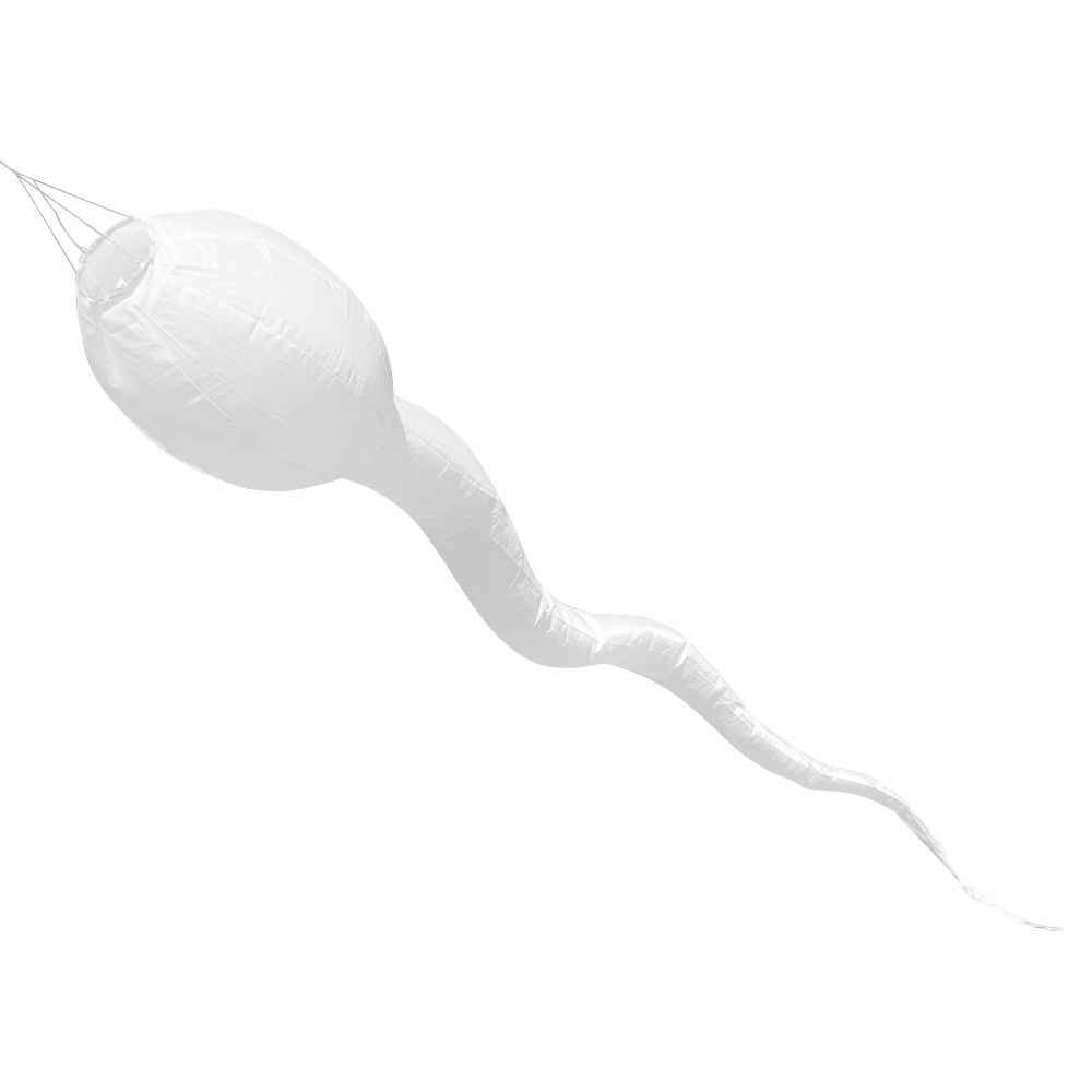 Sperm Tadpole windsock 2.4m white – Flagseller