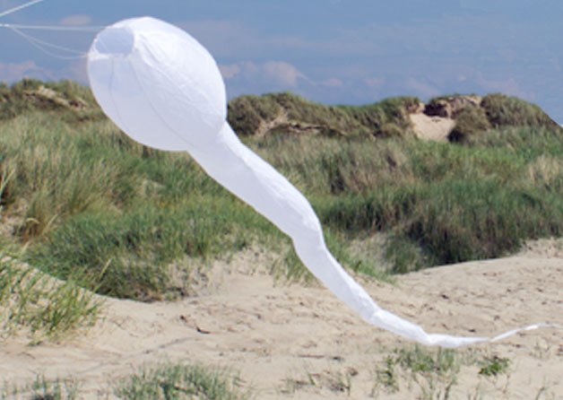 Sperm Tadpole windsock 2.4m white – Flagseller